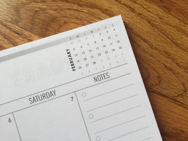 NEW Erin Condren MONTHLY Planner Review! - JenPlans