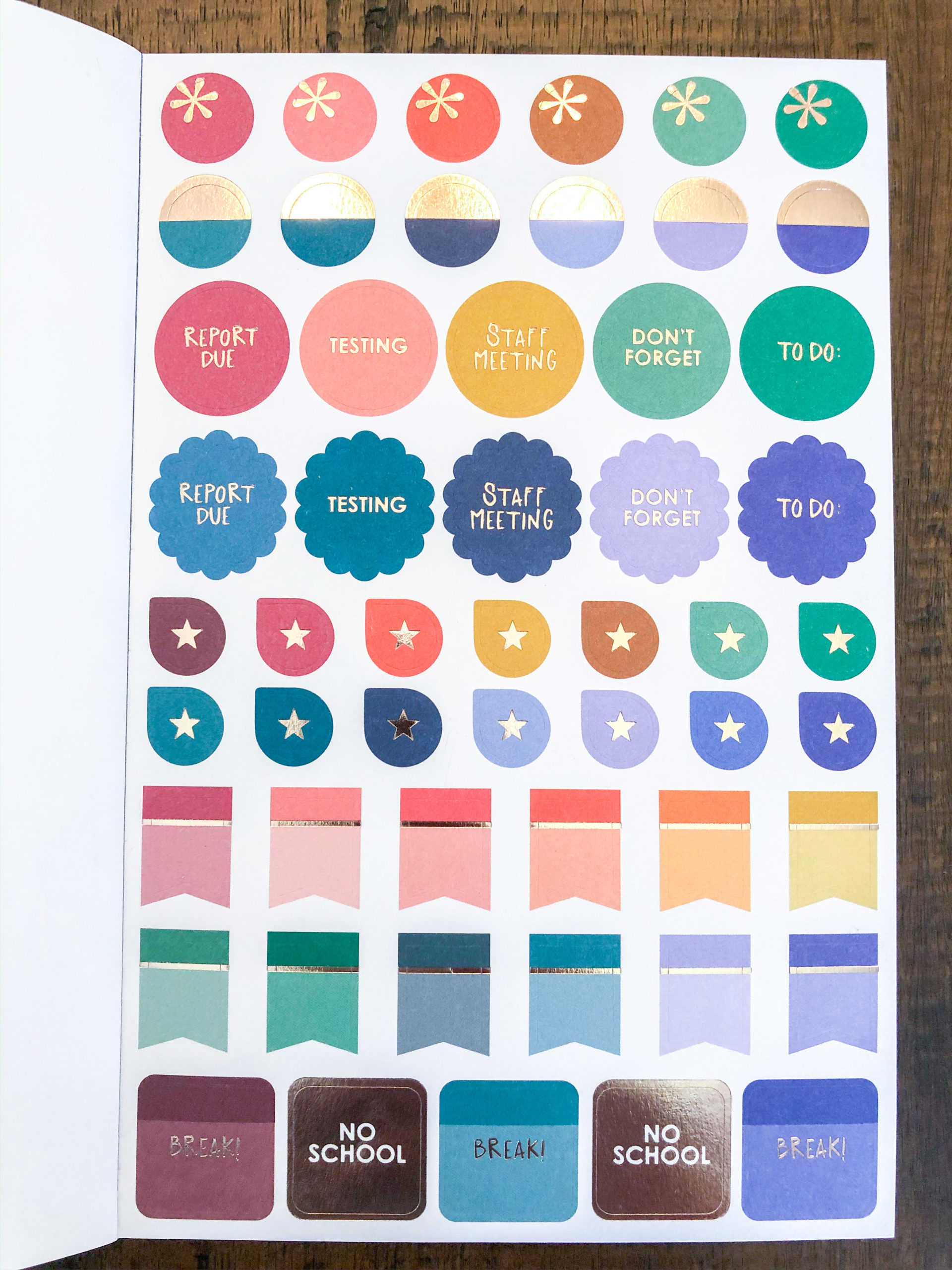 NEW 2020-2021 Erin Condren Teacher Lesson Planner - JenPlans